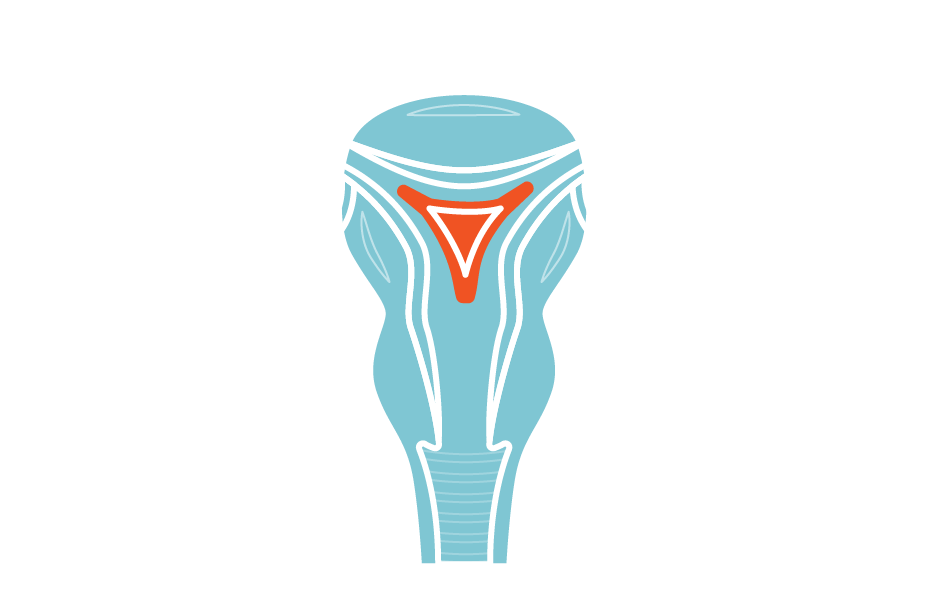 Aptima® Vaginal Health | Hologic
